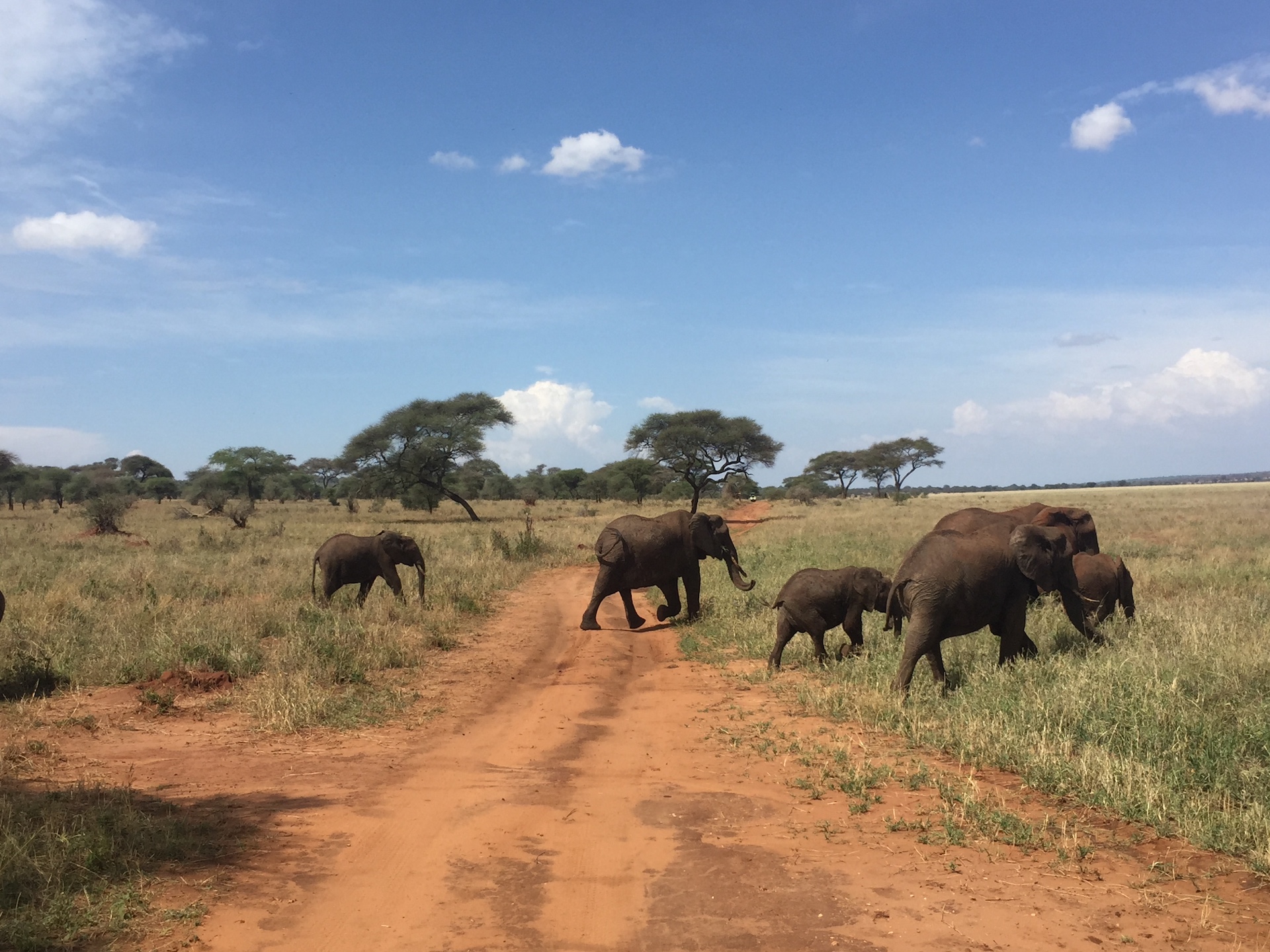 Trans-Africa adventure: from Cape Town to Cairo